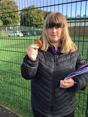 Ysgol Bro Pedr - ADY - ALN